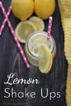 Lemon Shake Ups - Simple and Seasonal