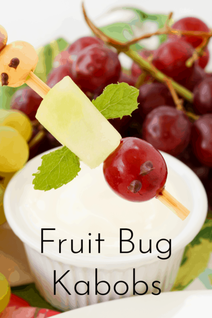 Cute Critter Fruit Kabobs - Simple and Seasonal